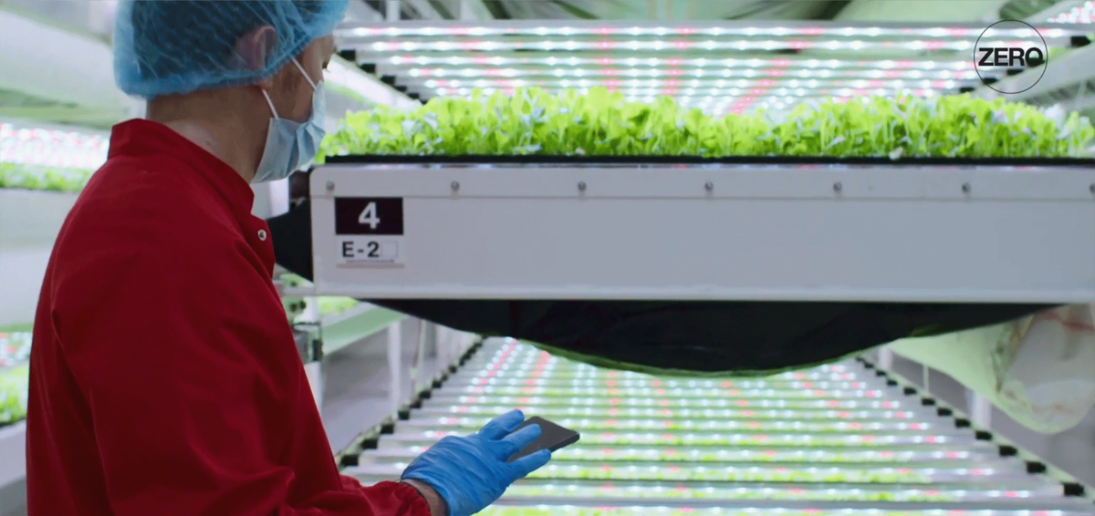 ZERO Vertical Farms Test4Digitalization, il progetto DigitalTwin | tre ...